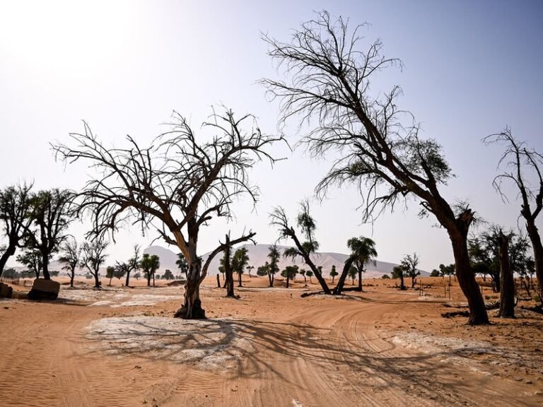 10 Beautiful UAE deserts you have to see